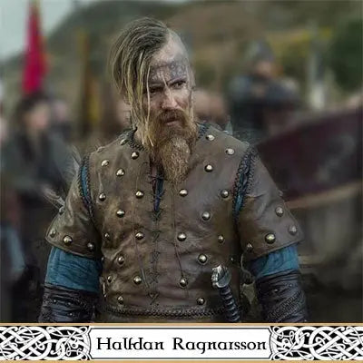 Halfdan Ragnarsson | Le Célèbre Conquérant et Roi Viking - Viking Héritage